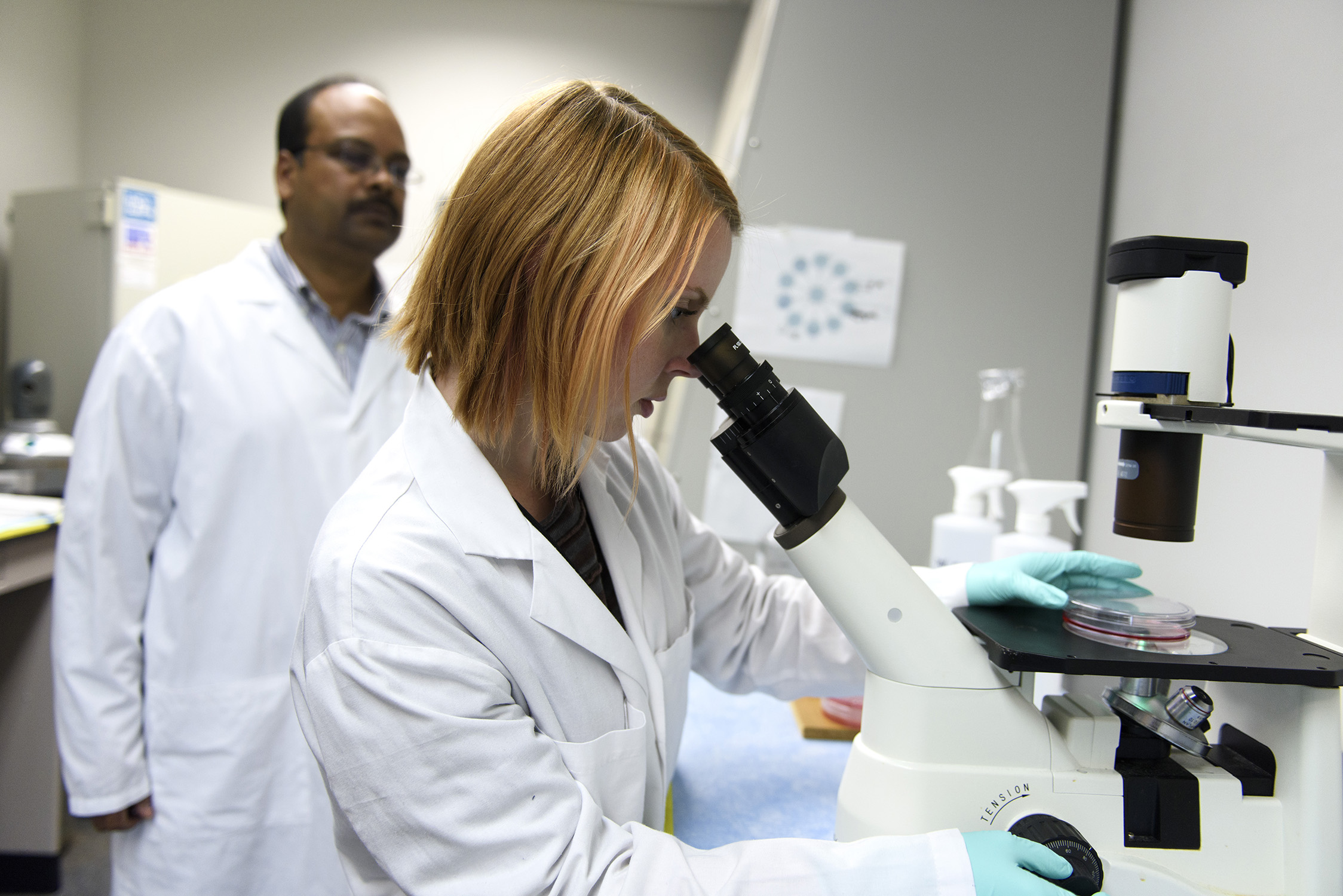 Microbiology and Immunology (PhD, MS) - Rosalind Franklin University